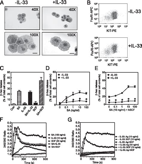 Figure 1 From In Human And Mouse Mast Cells Il 33 Induces A