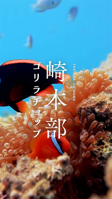 The Sea Okinawa 沖縄スキンダイビングスポット紹介 Thesea Okinawa • Instagram Photos