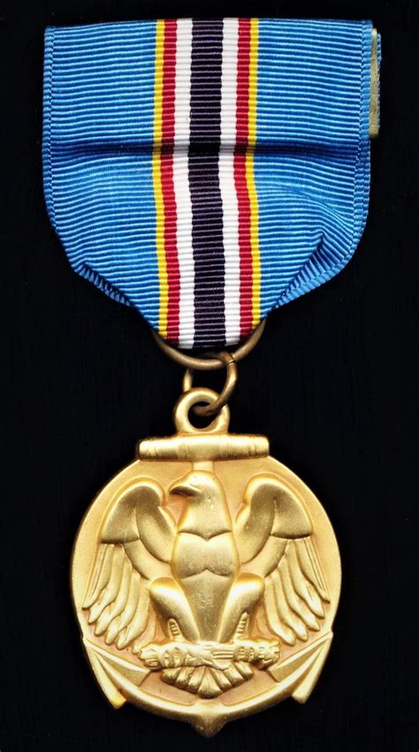 Meritorious Service Medal Usmc Example At Warren Brooks Blog