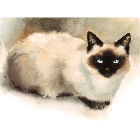 Wee Blue Coo Cat Ragdoll Watercolour Large Wall Art Print Canvas