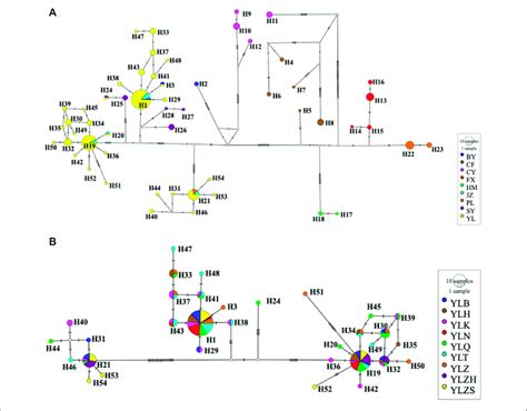 median joining haplotype networks of 17 different populations a and