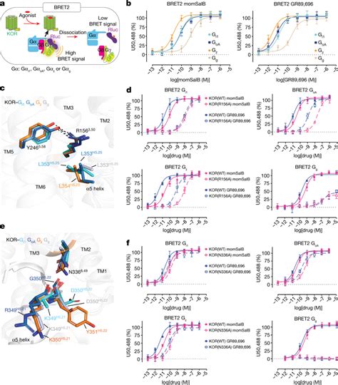 Comparison Of The Receptor G Protein Binding Interface Of The Kor Gi1
