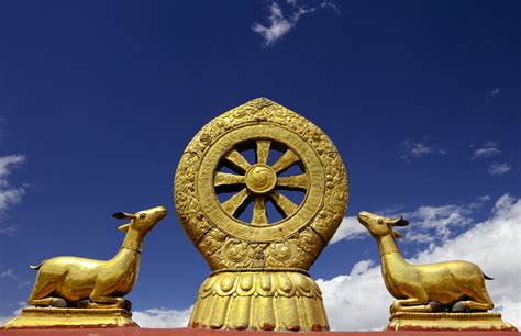 Dharma Wheel Wallpaper