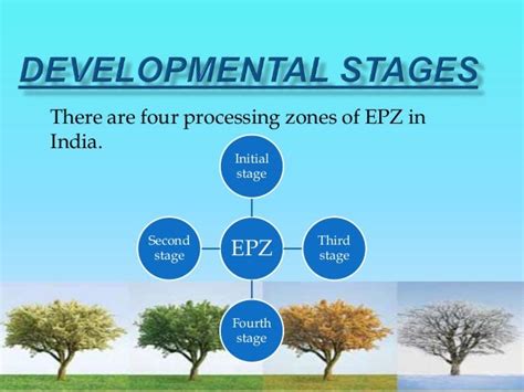 Export Processing Zone