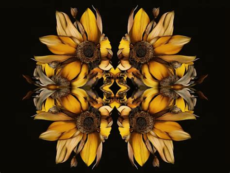 Create A Unique Soundscape With Your Own Sample By Svenschonewille Fiverr