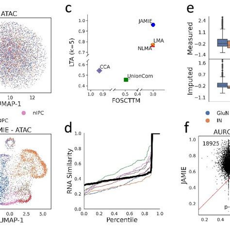 Gene Expression And Chromatin Accessibility Of Single Cells In The