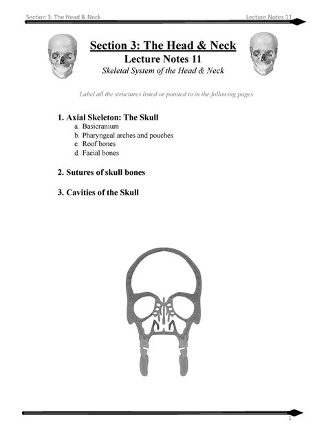 11 Lecture Notes 11 Hn Skeletal Lecture Notes 11 Section 3 The Head