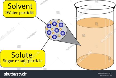 Solvent Solute Molecules Salt Sugar Water Stock Vector Royalty Free