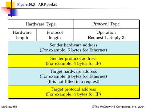 Ppt Understanding Network Layer Protocols Arp Ipv4 Icmpv4 Ipv6