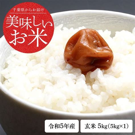 新米 米 5kg 玄米 お試し 令和5年 千葉県産 あきたこまち お米 送料無料 ※地域によりまして別途送料が発生致します。 Ak5kg
