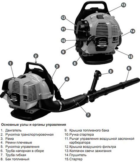 Воздуходувка бензиновая ранцевая CHAMPION GBR333 — купить в интернет ...