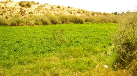 Hotéis Em San Juan De Alicante Reserve Um Hotel Cancelamento Em