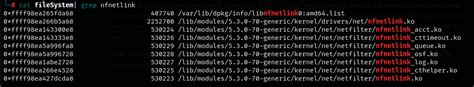 hack the box intro to network traffic analysis by vamshi amurutham