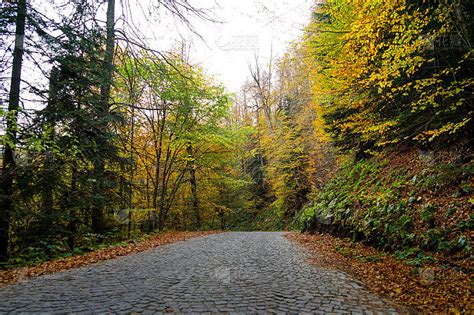 秋天，森林，五彩缤纷的树叶和瀑布，小溪，湖泊的景色