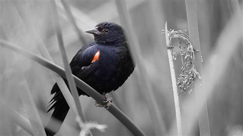 设计模式一网打尽,40余篇文章带你领略设计模式之美 知乎 设计模式一网打尽,40余篇文章带你领略设计模式之美 知乎