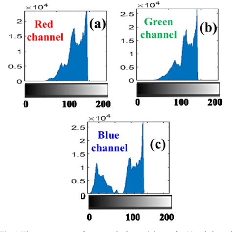 Figure 3 From Maturity Level Detection Of Banana Fruit By Image Processing Technique Semantic