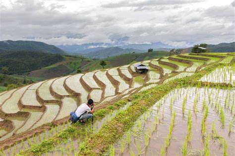 Chiang Mai Tours Chiang Mai Attractions Chiang Mai Trekking Tours