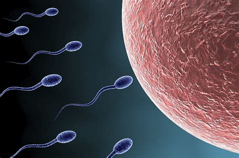 1精子、 抽象、 抽象化、 ボケ味、 セル、 Dna、 卵、 卵、 生活、 男性、 男、 交配、 医療、 男性、 サイケデリック、 セックス