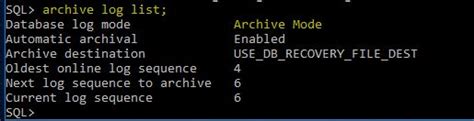 Remote Infrastructure Management Oracle Rman Backup Using Netbackup 812