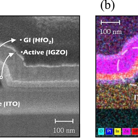 A Cross Sectional Fib Sem Image And B Eds Mapping Image Of The
