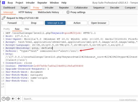 Xss漏洞挑战通关（11 15） 知乎