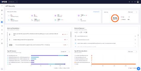 API Security Expanding Coverage To Identify API Risks