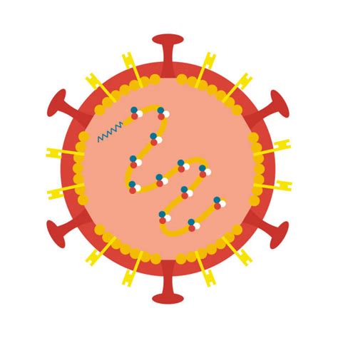 100 Nipah Virus Illustrations Stock Illustrations Royalty Free Vector Graphics And Clip Art Istock