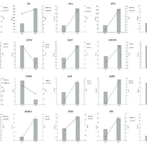 QPCR Analysis Conducted To Validate The Chosen Gene Expression Download Scientific Diagram