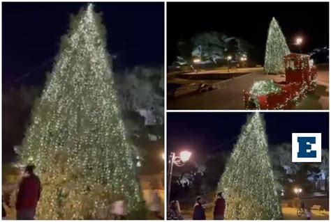 Αυτό είναι το πιο «πράσινο χριστουγεννιάτικο δέντρο της Ελλάδας