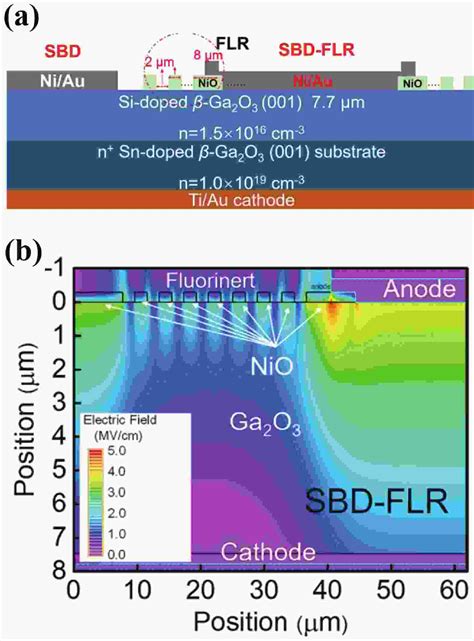 Recent Advances In Nioga 2 O 3 Heterojunctions For Power Electronics