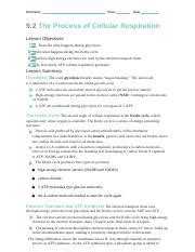 Understanding Cellular Respiration: Glycolysis to ATP Synthesis ...