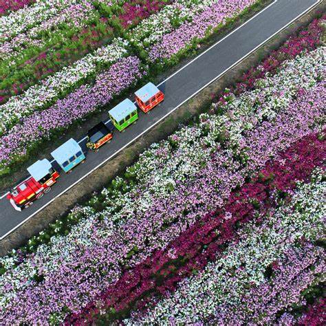 冷空气台风“联合出击”，新一轮干冷、大风天气来了销售东阳气温