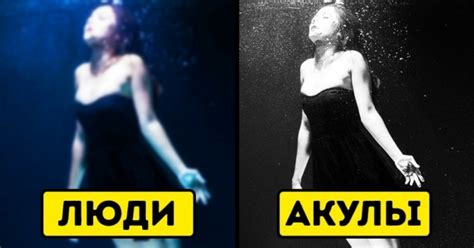 10 фотографій про те як бачать наш світ тварини і люди