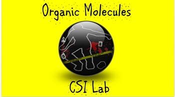 Organic Molecules CSI Lab By Up And Atom TPT