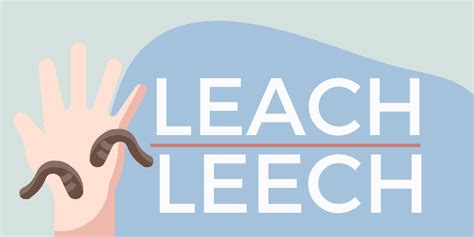 Leach Or Leech Whats The Difference