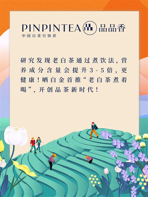 白茶小课堂之老白茶为什么煮着喝？ 知乎