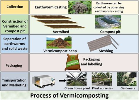 What Is Vermicomposting Meaning Vermicompost Requirements And Process