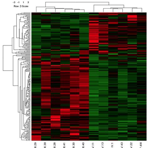 heat map and hierarchical clustering of differentially expressed genes