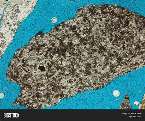 Fragment Rock Observed Image And Photo Free Trial Bigstock