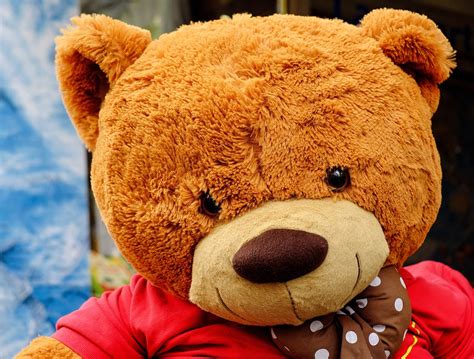 Teddy Bear Soft Toy Toys · Free photo on Pixabay