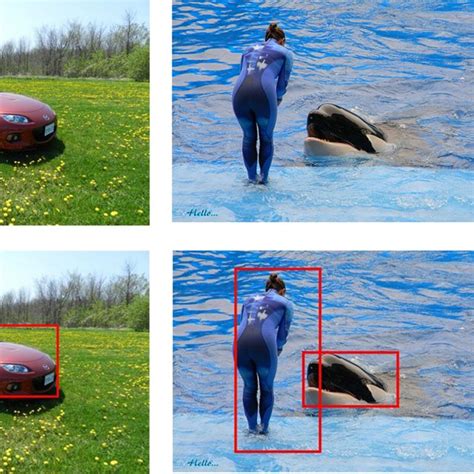 The Salient Object Detection Model Outputs A Compact Set Of Detection