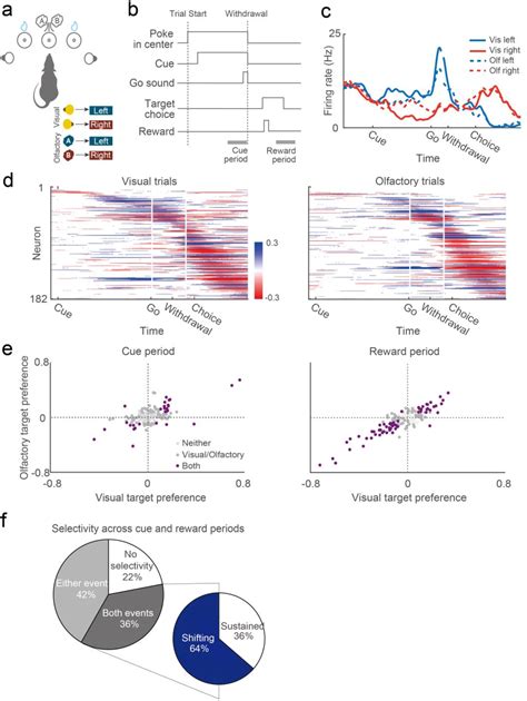 figure 1 from dynamic coding of choice targets in the perirhinal cortex
