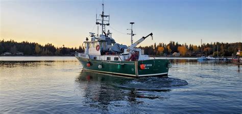 Habitat Saving Algorithm Helped By Seaeye Falcon Saab Seaeye