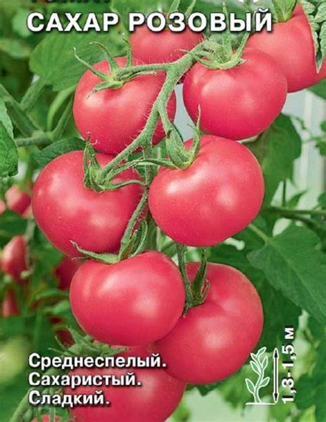 Томат Сахар розовый: характеристика и описание полудетерминантного ...