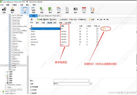 Navicat For Mysql 查主键、表字段类型、索引navicat怎么查看表的数据类型 Csdn博客