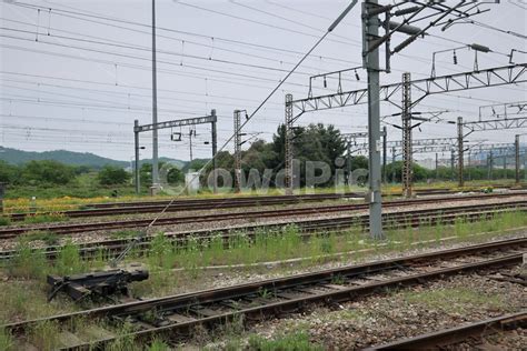 전동 기관차 전철 철도 철로 사진 이미지 일러스트 캘리그라피 양기리작가