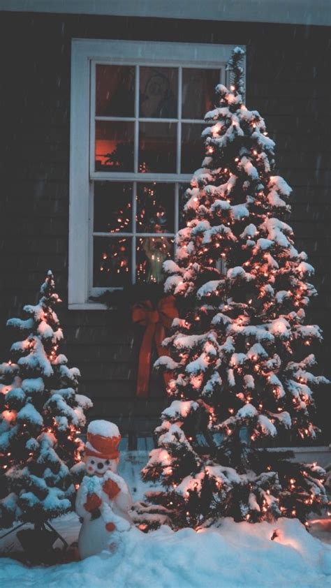 Holidayschristmas Photosvideos 2021 Lpsg
