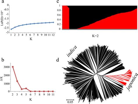Population Structure Of 523 Rice Samples A Mean LnP D Values Plotted