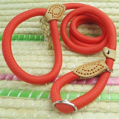Rottweiler Chain Leash Slip Collar Rottmart