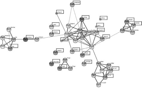 Protein Protein Interaction Network Analysis Of Differentially